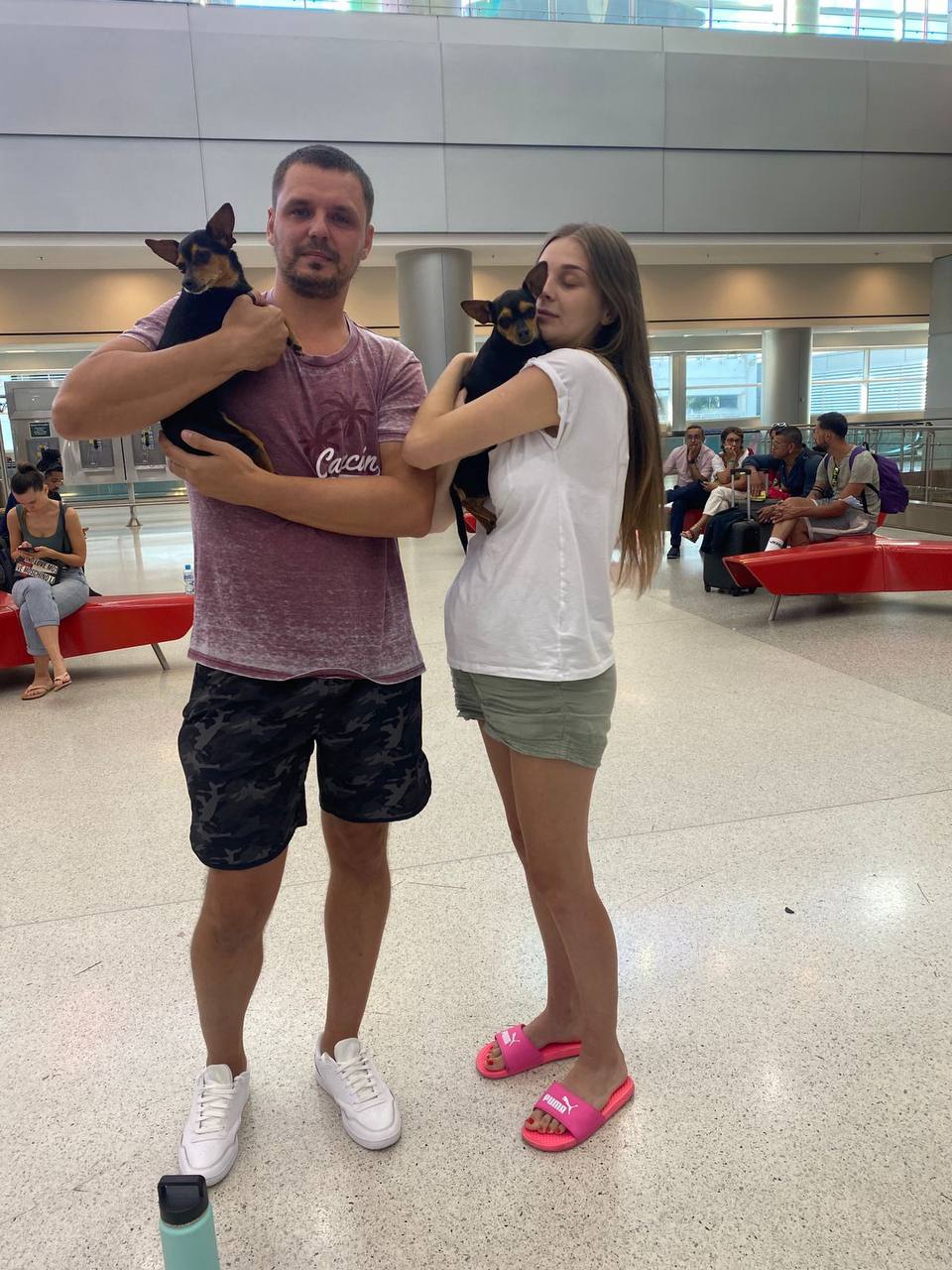 Importation of Cats and Dogs into Canada. What documents are needed?